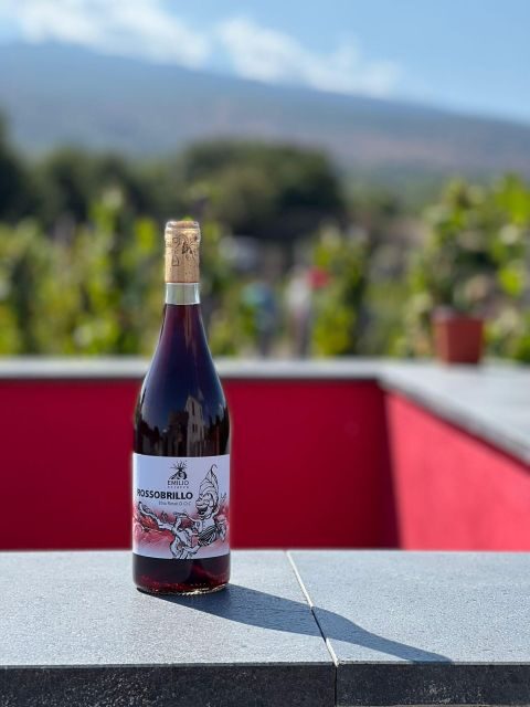 Wine tour with wine tasting - FAQ