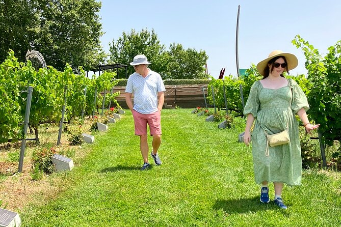 Wine Touring a Step Away from the city - An In-Depth Look at the Tour Experience