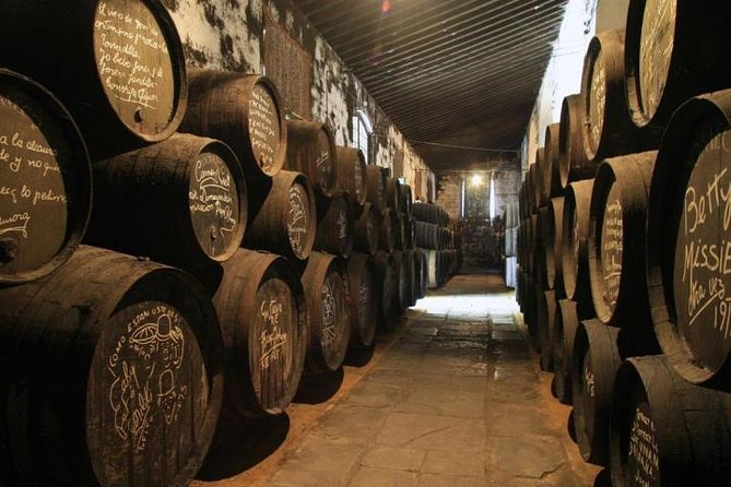 Wine Tourism Half Day Tour - Tour Experience