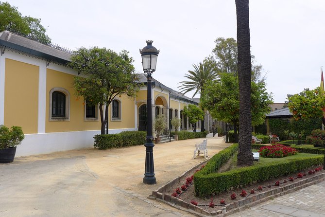 Wine Tourism Half Day Tour - Accessibility and Additional Info