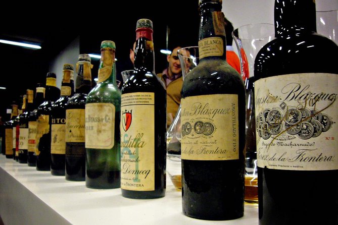 Wine Tourism Half Day Tour - Reviews and Feedback