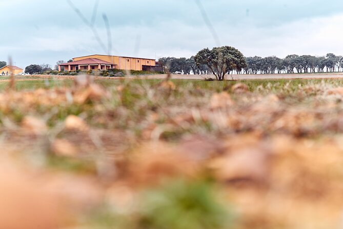 Wine tourism: Wine tasting - What We Love About This Tour