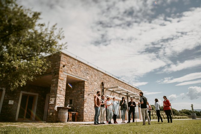 Wine Tours in Slovenia - Accessibility and Participation Considerations