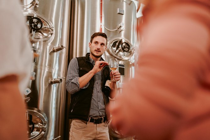 Wine Tours in Slovenia - Exceptional Traveler Feedback and Recommendations