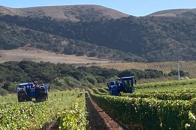 Wine Tours One - Who Should Consider This Tour?