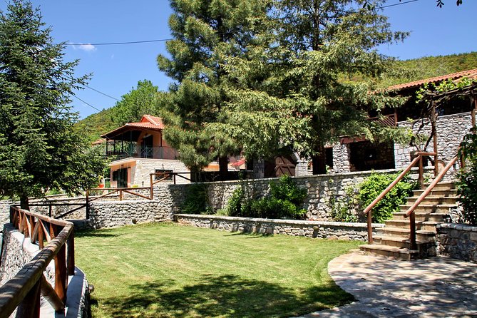 Wine Tours & Tasting in Family Wineries in Arcadia or Nemea - Practical Details and Value