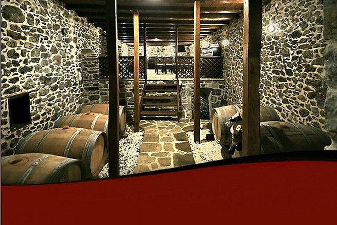 Wine Tours & Tasting in Family Wineries in Arcadia or Nemea - Authenticity and Authentic Greek Hospitality