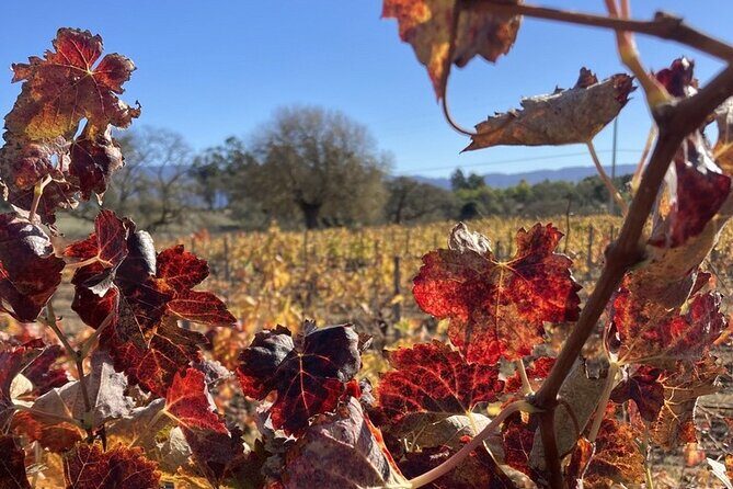 Wine Tours Three - Why This Tour Works for You