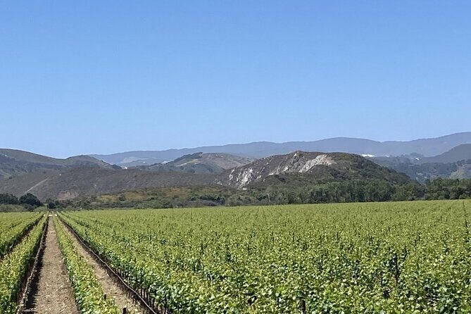 Wine Tours Three - Final Thoughts: Is It Worth It?
