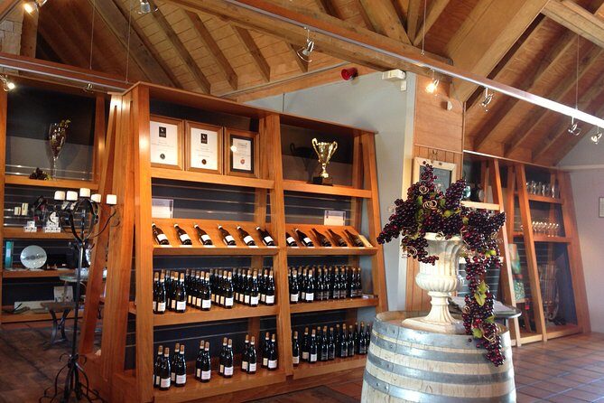 Wine trail and Christchurch City - Luxury, Small Group Tour - Views from Port Hills and Sweet Final Touches