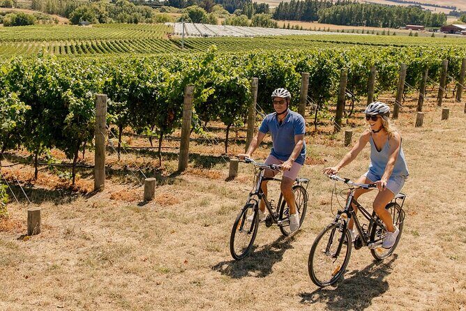 Wine trail and Christchurch City - Luxury, Small Group Tour - What’s Included and What It Means for You