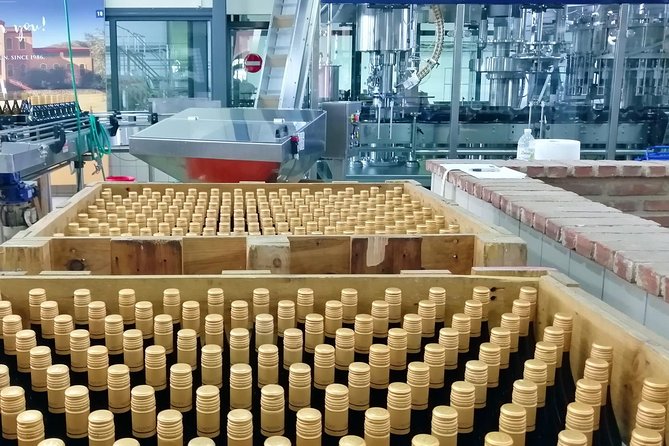 Wine Trails Private Tour/ Nemea Visit 3 Wineries From Athens or Nafplion (10 H) - Winery Tour and Tasting Experience