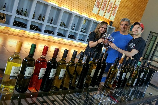 Wine Trails Private Tour/ Nemea Visit 3 Wineries From Athens or Nafplion (10 H) - Nemea Archaeological Site Visit