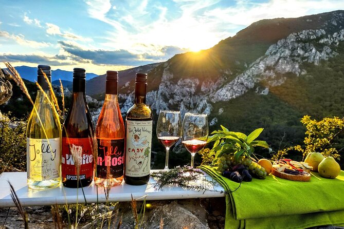 Wine trip with The Jolly Vintners near Sofia - The Reviews Speak for Themselves