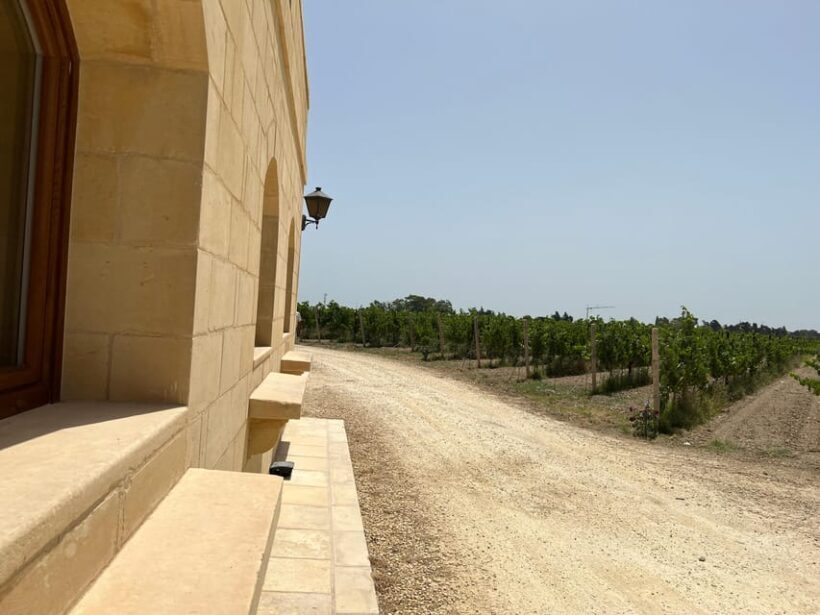 Wine with Maltese Grapes TOUR IN PORTUGUESE - The Itinerary: Step by Step