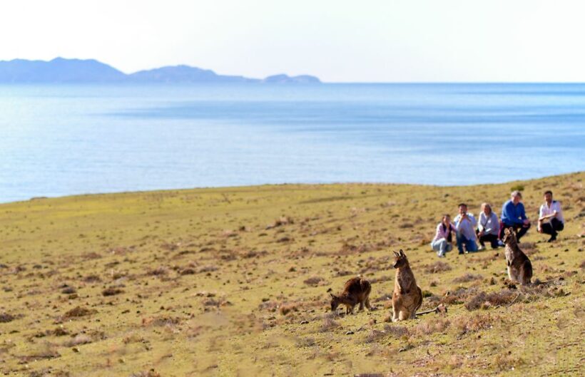 Wineglass Bay and Maria Island Scenic Flight Experience - Frequently Asked Questions