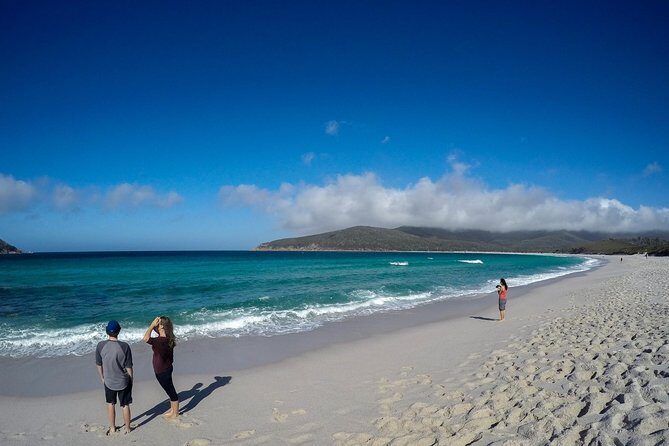Wineglass Bay Beach Hike Active day tour - The Itinerary in Detail