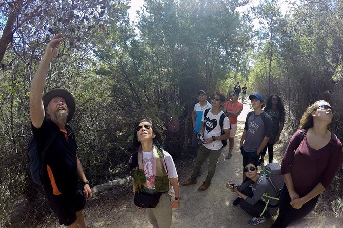 Wineglass Bay Beach Hike Active day tour - Final Thoughts