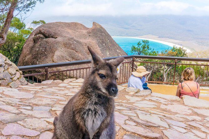 Wineglass Bay & Freycinet NP Full Day Tour from Hobart via Richmond Village - Transportation and Group Size