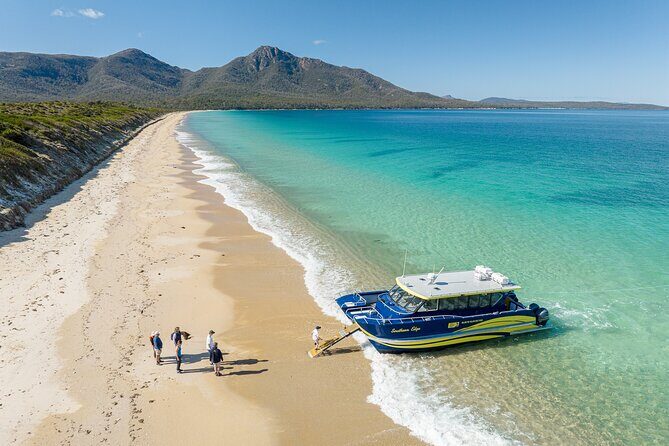 Wineglass Bay Shared Cruise and Walking Tour - Introduction: What Makes This Tour Special?
