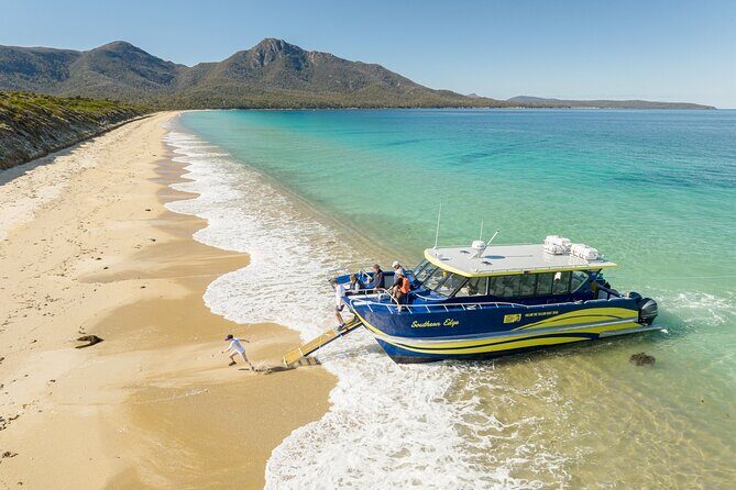 Wineglass Bay Shared Cruise and Walking Tour - How the Itinerary Works: A Step-by-Step Breakdown