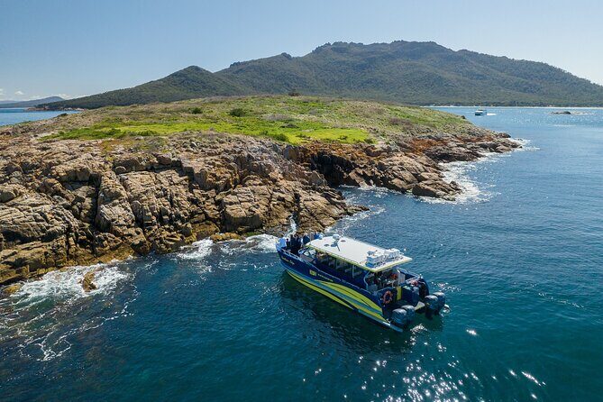 Wineglass Bay Shared Cruise and Walking Tour - Summary: Who Will Love This Tour?