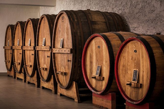 Winemaker for a Day: Tour an Organic Winery - Savoring the Light Meal Experience