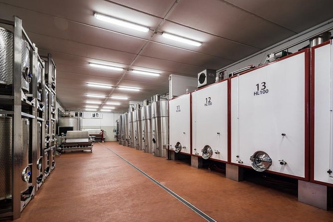 Winemaker for a Day: Tour an Organic Winery - Health and Safety Precautions