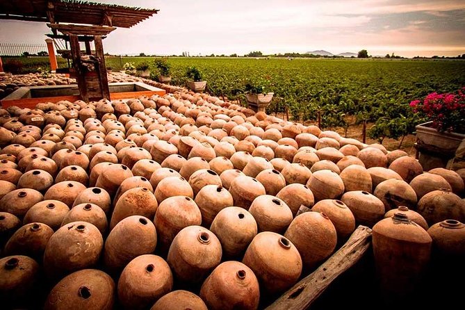 Winery and Pisco Distillery Tour - What to Expect on the Tour
