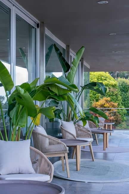 Winery in Rías Baixas with the best views of the Salnés Valley. - FAQ