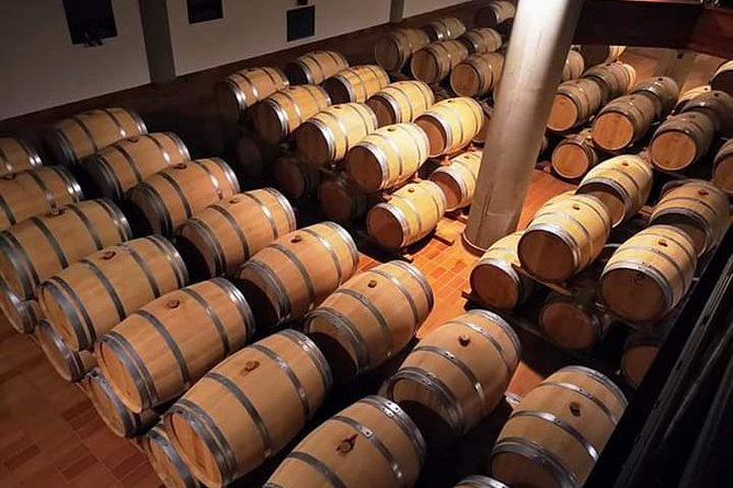 Winery Tasting in Marsala and Mothia Lagoon Tour - Marsala Winery Tasting Experience