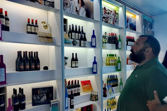 Winery Tasting in Marsala and Mothia Lagoon Tour - Mothia Lagoon Boat Tour