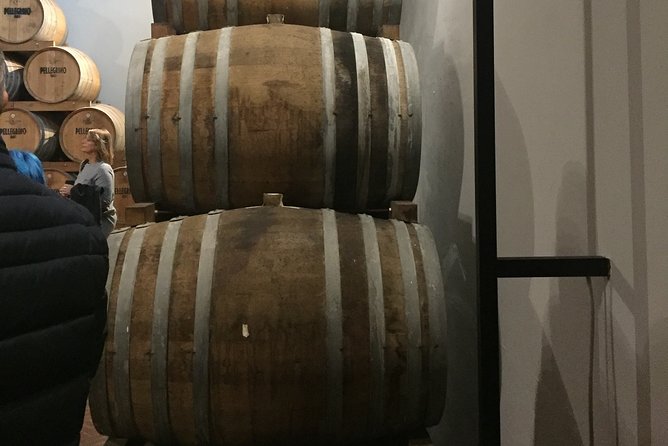 Winery Tasting in Marsala and Mothia Lagoon Tour - Highlights of the Excursion