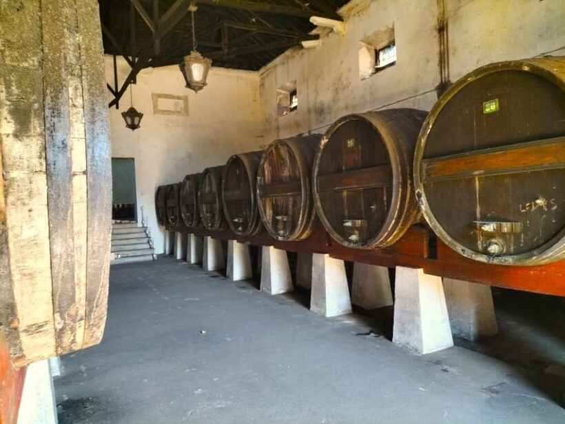 Winery, Tastings & 4WD Vineyards: Half-Day Trip from Lisbon - Key Points