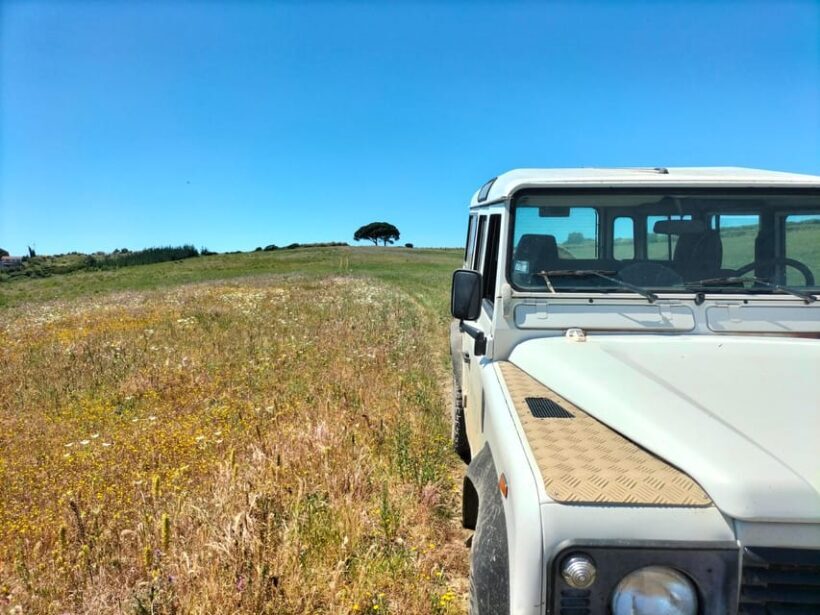 Winery, Tastings & 4WD Vineyards: Half-Day Trip from Lisbon - Final Thoughts