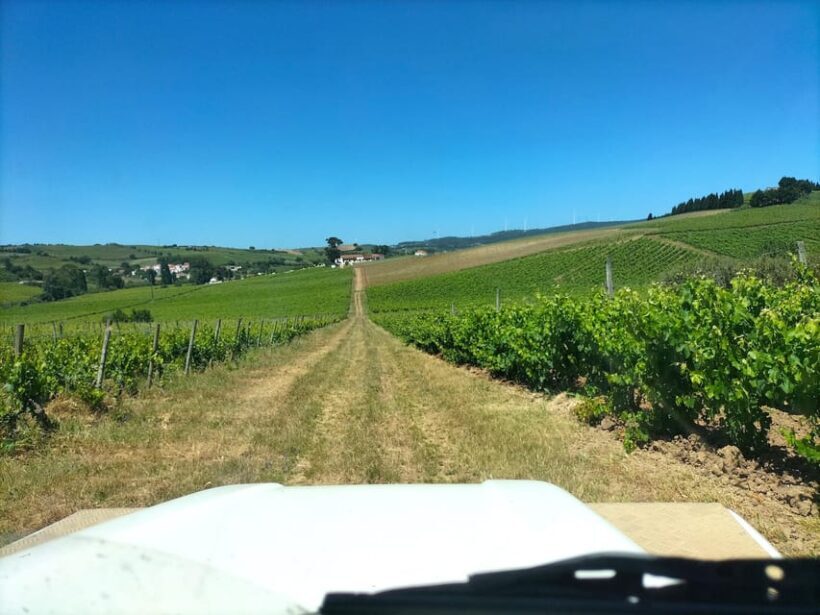 Winery, Tastings & 4WD Vineyards: Half-Day Trip from Lisbon - FAQ