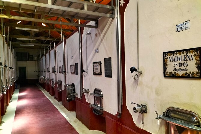 Winery, Tastings & 4WD Vineyards Ride, Half Day Trip from Lisbon - Practicalities and Considerations