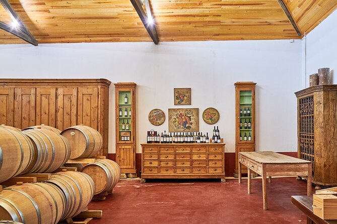 Winery, Tastings & 4WD Vineyards Ride, Half Day Trip from Lisbon - The Sum Up: Who Should Consider This Tour?