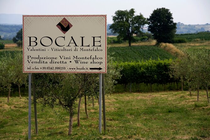 Winery Tour and Private Tasting in Montefalco - Wine Selection and Tasting Experience