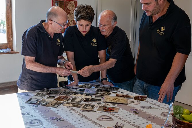 Winery Tour and Private Tasting in Montefalco - Guest Reviews and Experiences