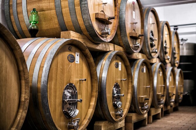 Winery Tour and Private Tasting in Montefalco - The Family History and Winemaking Traditions