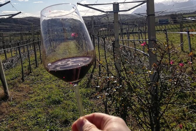 Winery Tour and Tasting in Abruzzo - Key Points