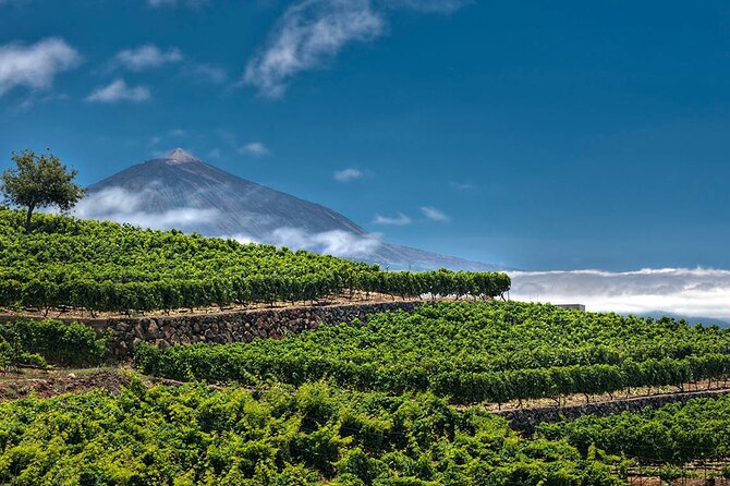 Winery Tour and Tasting in Tenerife with the Sommelier - FAQs