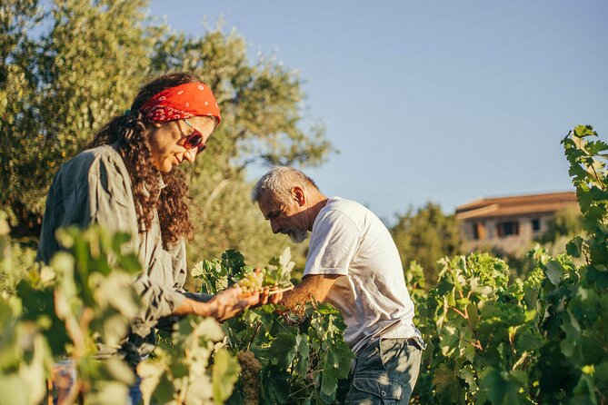 Winery Tour and Tasting in Zakynthos with the Winemaker - Frequently Asked Questions