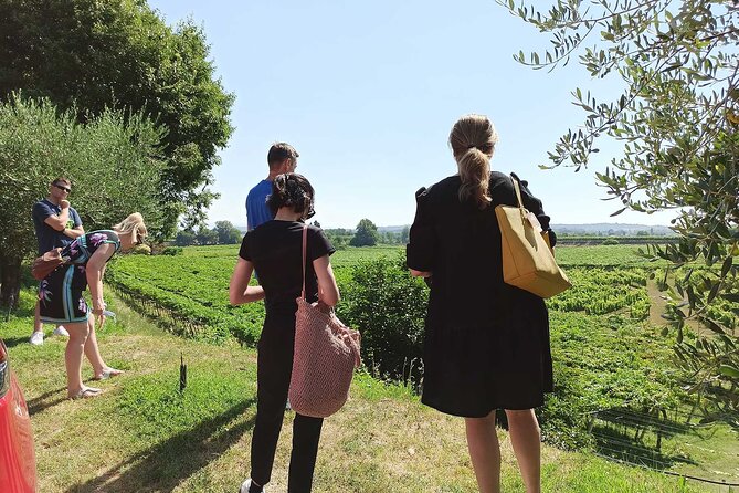 Winery Tour and Tasting of Garda Wines in Lazise - Accessibility and Booking Details