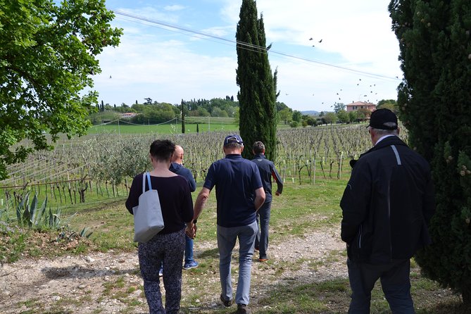 Winery Tour and Tasting of Garda Wines in Lazise - Traveler Experiences and Feedback