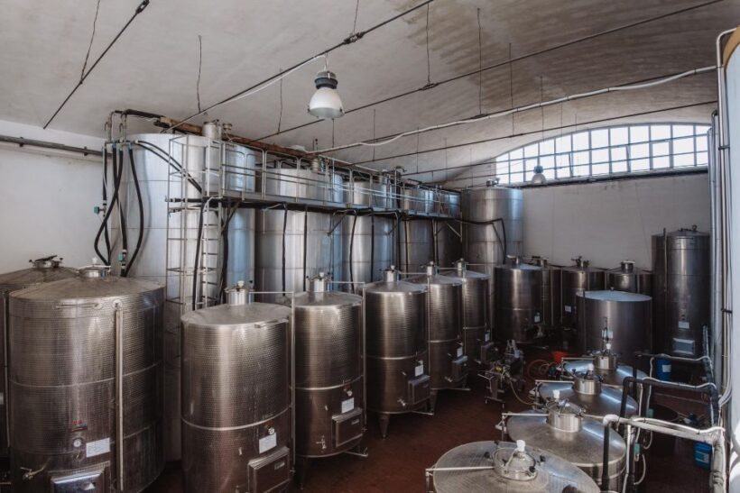 Winery tour and tasting of Sicilian organic wines in Marsala - FAQ
