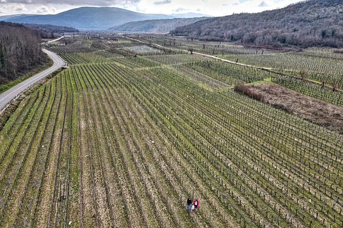 Winery Tour and Tasting with the Sommelier in KRK - Practical Details and Tips