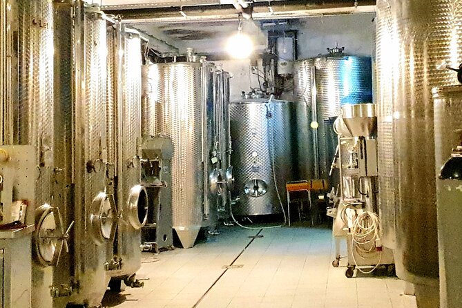 Winery Tour and Tasting with the Sommelier in KRK - Who Will Love This Tour?