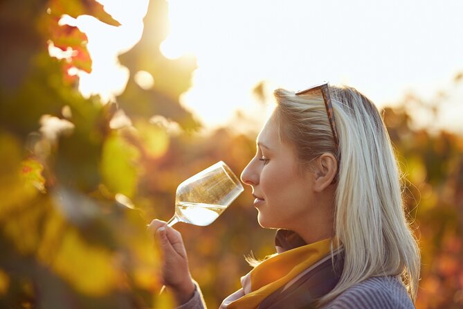 Winery Tour and Tasting with the Sommelier in KRK - Final Thoughts
